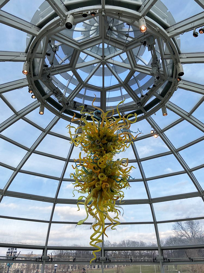 Suspended like a golden jellyfish from outer space, this Chihuly glass sculpture captures sunlight in ways that make physics professors swoon.