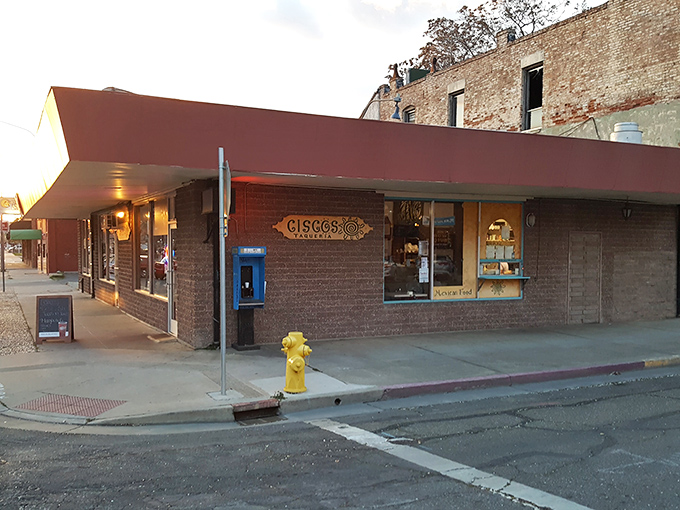 Cisco's Taqueria brings authentic flavors to Marysville's streets, proving good food doesn't need to come with big-city price tags.