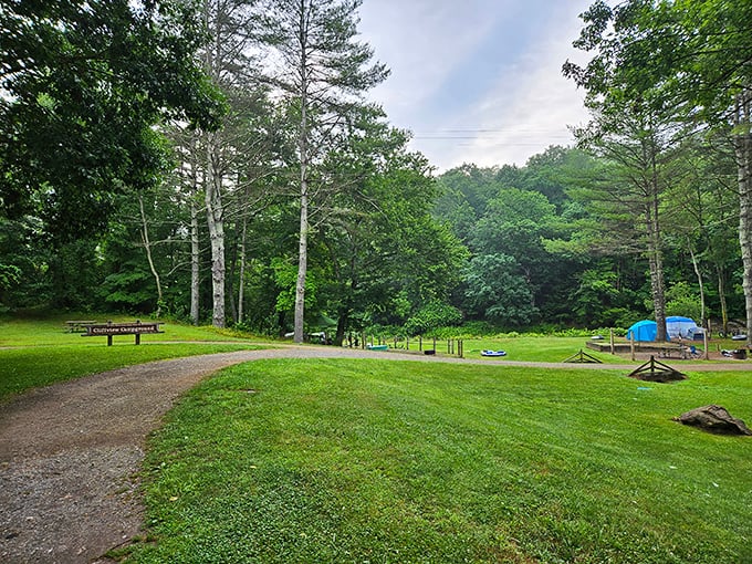 Camping with a view and without the neighbor's lawn mower at 7 AM. Just you, some tall pines, and that persistent woodpecker alarm clock.