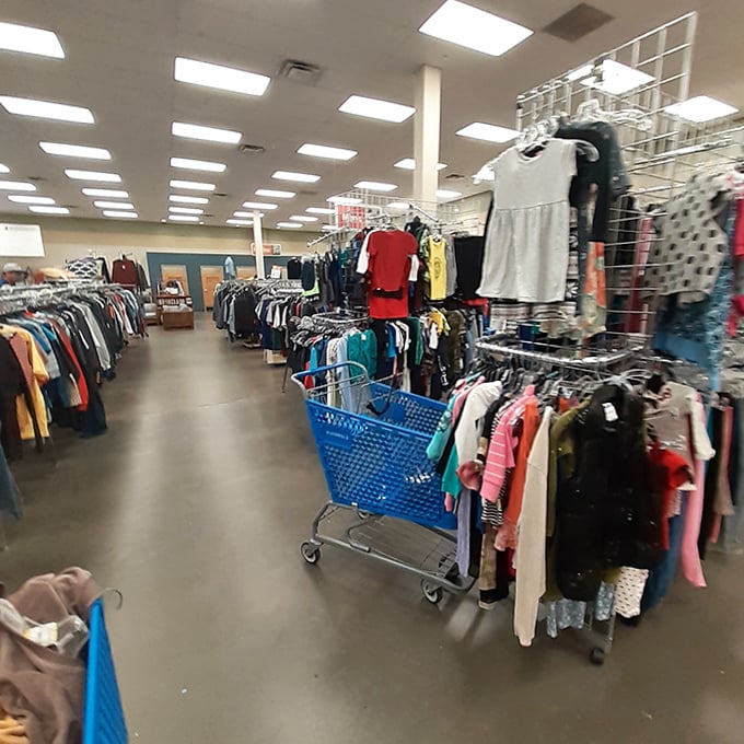 Blue shopping carts navigate the clothing wilderness, where savvy shoppers know the thrill of the hunt is half the fun.