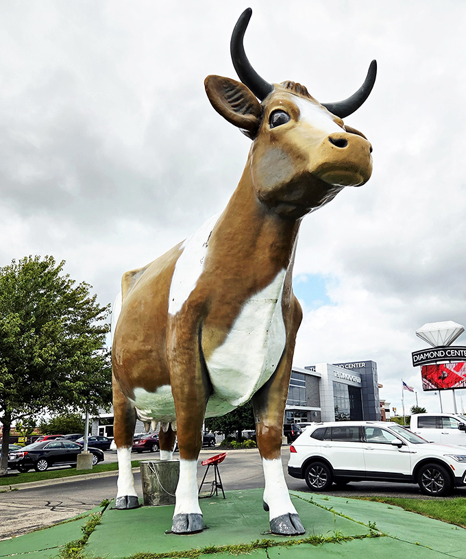 Diamond Center in the background, but the real gem is front and center &ndash; a bovine beauty that's outlasted countless retail trends.