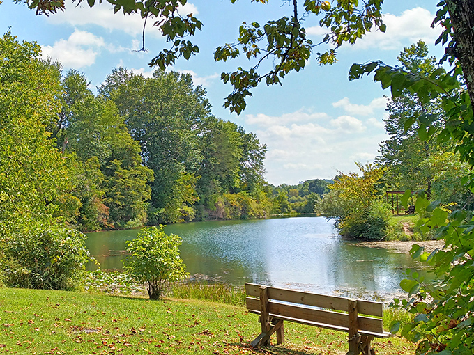 A peaceful lakeside bench proves the best therapy doesn't require appointments or co-pays&mdash;just water, trees, and permission to sit without scrolling through anything.