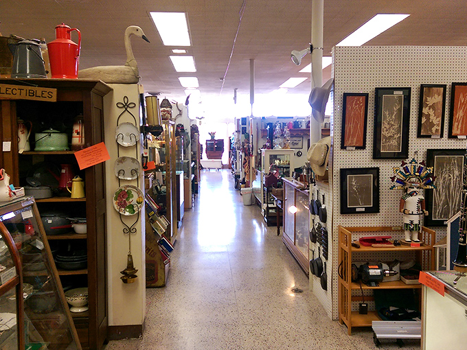 A corridor of curiosities where taxidermy meets vintage clothing. Every aisle promises a different decade's worth of discoveries.
