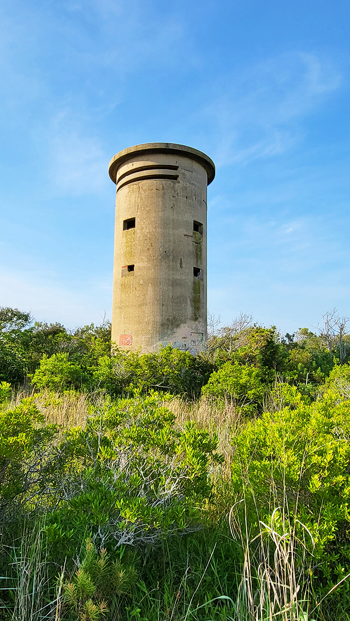 This weathered tower stands as Delaware's own mysterious monument, sparking curiosity and countless photo opportunities.