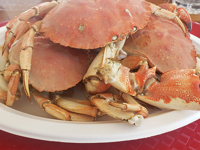 Nature's armor hiding the sweetest treasure. These crabs didn't sacrifice themselves for nothing&mdash;they demand your full attention and both hands.