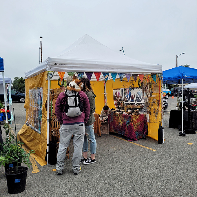 Step into this sunshine-yellow tent and discover treasures that big box stores couldn't dream of stocking.