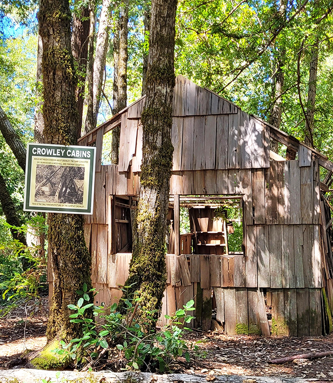 These rustic Crowley Cabins whisper stories of logging days past, standing as wooden time capsules amid the towering forest giants. 