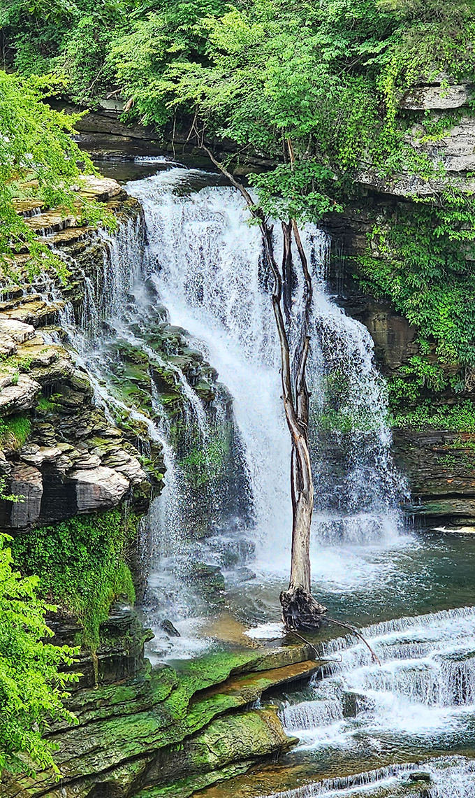 Cummins Falls offers nature's perfect symphony&mdash;rushing water, birdsong, and the occasional "wow" from first-time visitors. No wonder it's Tennessee's postcard-perfect waterfall.