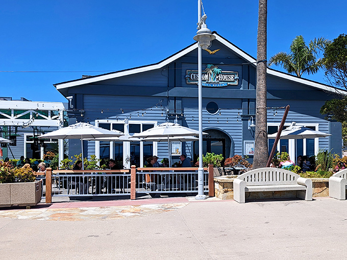 The Custom House serves up seafood with a side of ocean views. When your dining backdrop is this gorgeous, even the water glasses look photogenic.