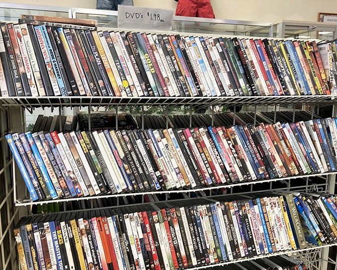 DVDs lined up like soldiers of entertainment, ready to march home for movie night marathons.