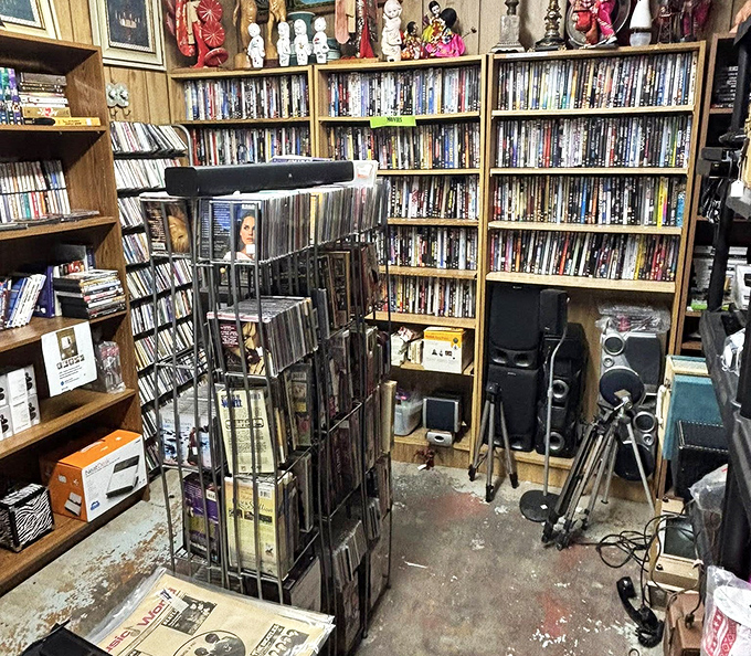DVDs and CDs proving that physical media isn't dead, just patiently waiting in Lafayette for streaming skeptics and collectors.