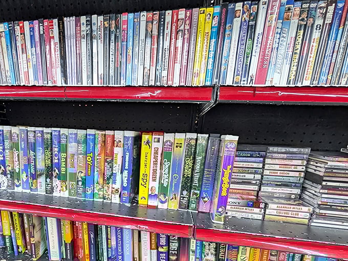 The media section: where forgotten blockbusters and cult classics live in harmony. Remember when "Be Kind, Rewind" wasn't just a nostalgic phrase?