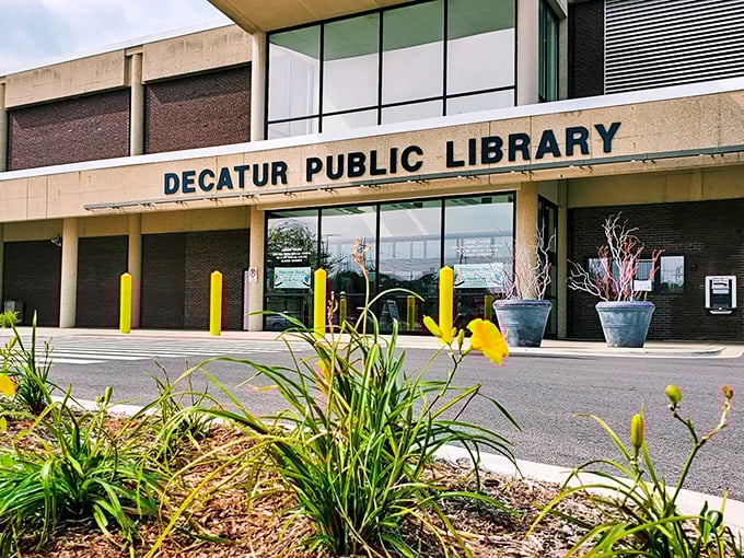 The Decatur Public Library stands ready to prove that adventure doesn't always require leaving your armchair or updating your passport. 
