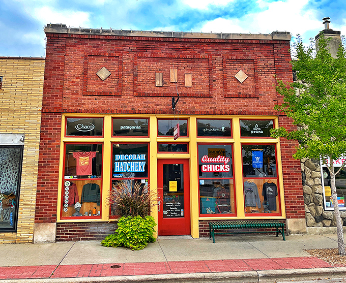 Decorah Hatchery's storefront displays that wonderful mix of outdoor brands and local pride that defines authentic small-town retail done right.