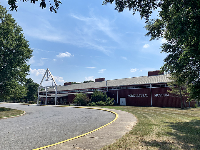 Delaware Agricultural Museum preserves rural heritage in a sprawling complex where history lessons don't require premium cable prices.