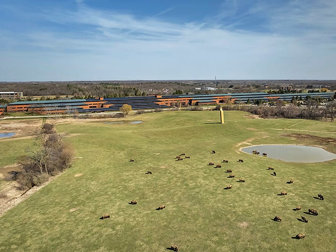 Even office parks here embrace the natural beauty that makes Ann Arbor a place where work feels less stressful. 