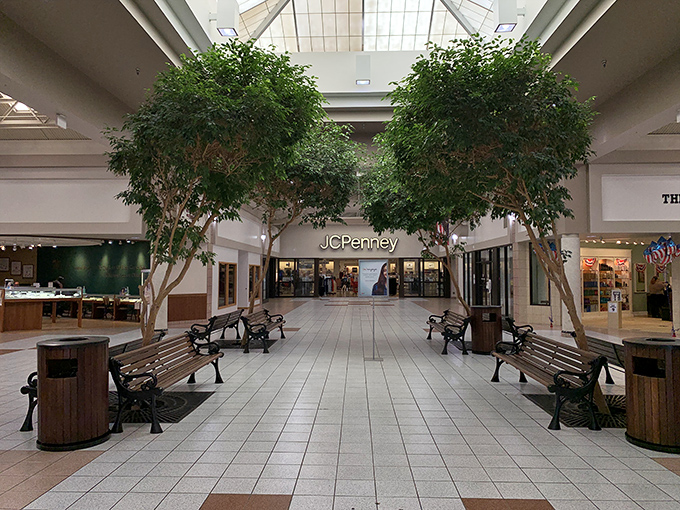 The DuBois Mall keeps shopping civilized with actual trees indoors, proving retail therapy is more effective with oxygen producers nearby.