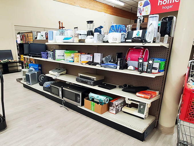 The electronics section&mdash;where brave shoppers roll the dice on everything from coffee makers to stereo equipment, sometimes striking gold with perfectly functional treasures.