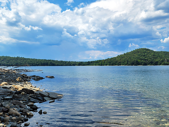 Crystal clear waters meet rocky shores at Enfield Lookout's shoreline trail. Meditation-worthy views that rival any high-priced wellness retreat.