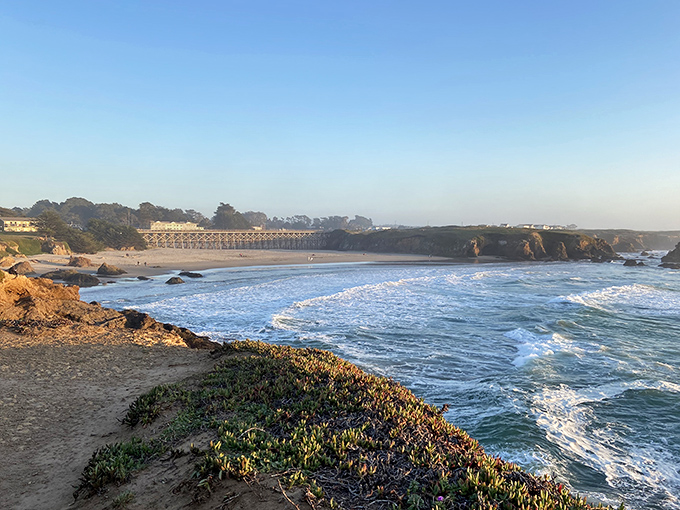 Golden hour magic at Pudding Creek Beach. When the light hits just right, even your smartphone photos look like professional postcards.