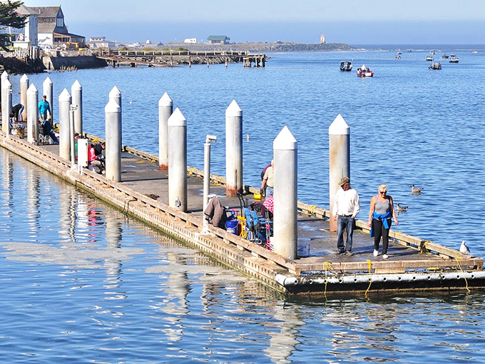The fishing pier invites both serious anglers and curious onlookers—a place where "the one that got away" stories grow more impressive with each telling.