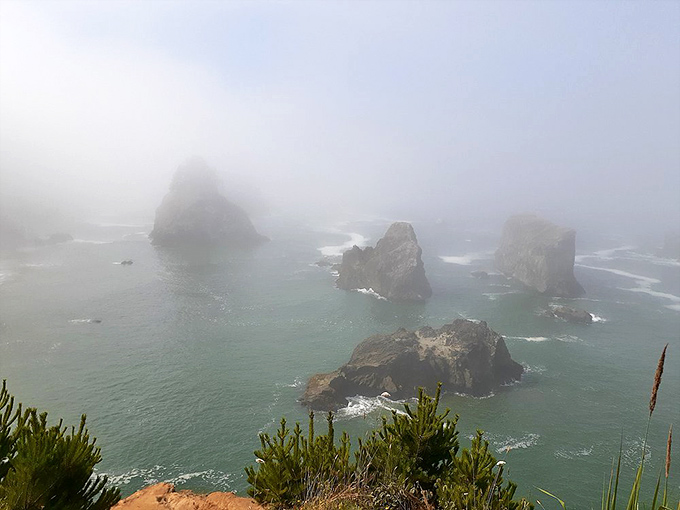 Morning fog transforms familiar rocks into mysterious islands &ndash; nature's way of giving regular visitors a completely different show.