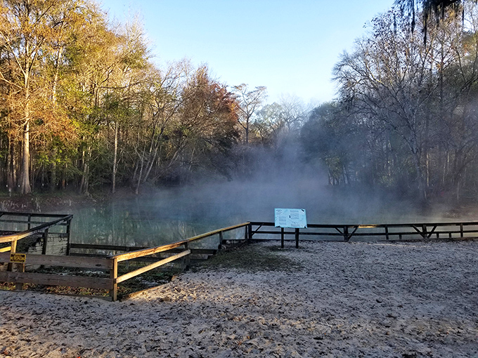 Dawn's golden light meets rising mist in nature's perfect lighting design. The wooden boardwalk invites early risers to witness the springs' most photogenic morning ritual.