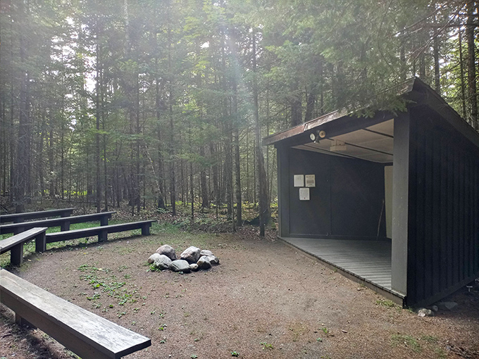 Vermont's version of an amphitheater&mdash;where ghost stories around the fire pit become 40% more believable after sunset.