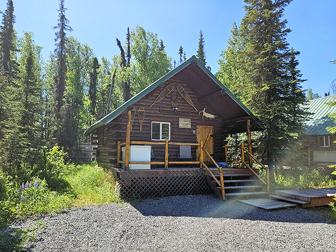 Log cabin perfection nestled among spruce trees. Thoreau would have upgraded from Walden Pond if he'd seen this Alaskan retreat.