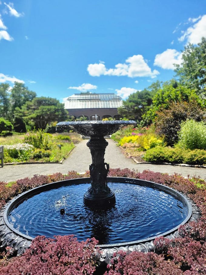 A simple fountain creates ripples of tranquility in this formal garden setting. Water therapy without the awkward swimsuit shopping.