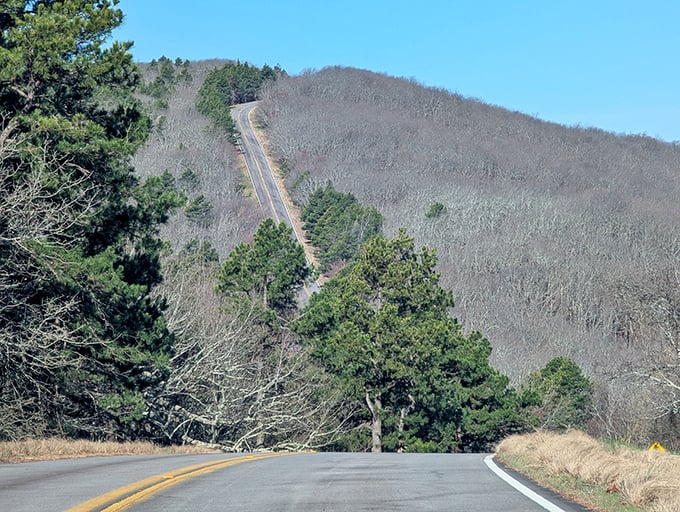 Winter reveals the byway's skeleton. Without leaves, you can truly appreciate how this ribbon of road embraces the mountain's contours.