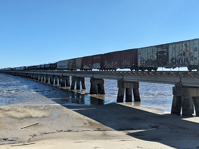 Industrial meets natural beauty as freight trains rumble across waters that shimmer like blue glass. A reminder that Mississippi's history flows with commerce and courage.