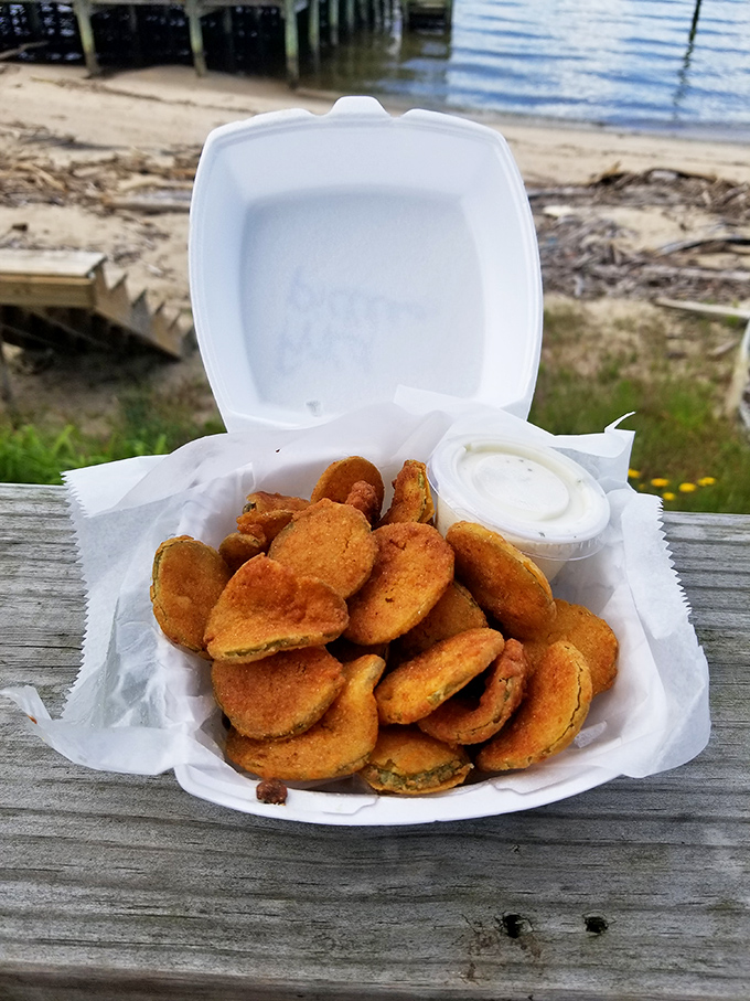 Fried pickles with a waterfront view&mdash;because sometimes life's simplest pleasures come in crispy, tangy packages that pair perfectly with a cold beer and river breezes.