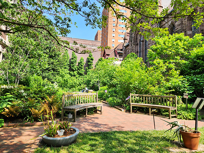 After examining preserved organs and historical medical tools, the Benjamin Rush Medicinal Plant Garden offers a breath of fresh, therapeutic air.