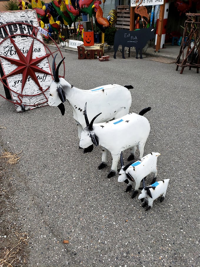 A family of metal goats marches in descending size order. From mama to baby, these weathered white sculptures are farmhouse chic personified.