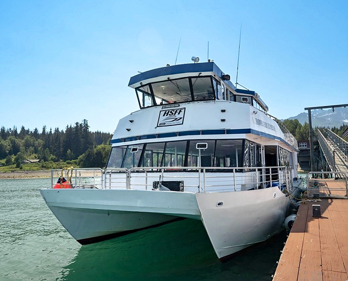 The fast ferry doesn't just connect towns &ndash; it delivers front-row seats to nature's greatest show, no ticket required.