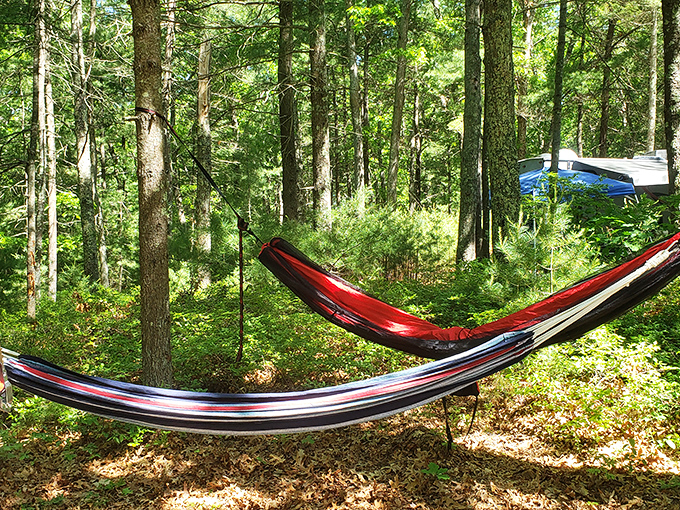 The hammock life&mdash;where doing absolutely nothing becomes an art form worth mastering.