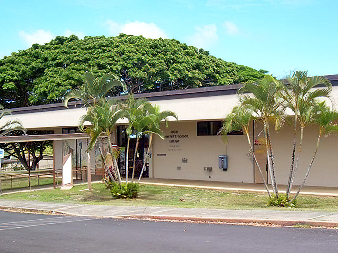 Hana's public library might be small, but like the best books, it's what's inside that counts&mdash;knowledge and stories waiting under the shade of magnificent trees.