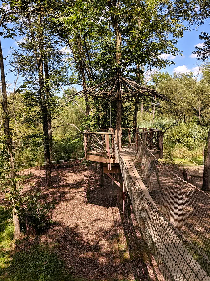 Who needs treehouses when you have observation decks? This rustic gazebo connected by rope bridge offers views worth every careful step.
