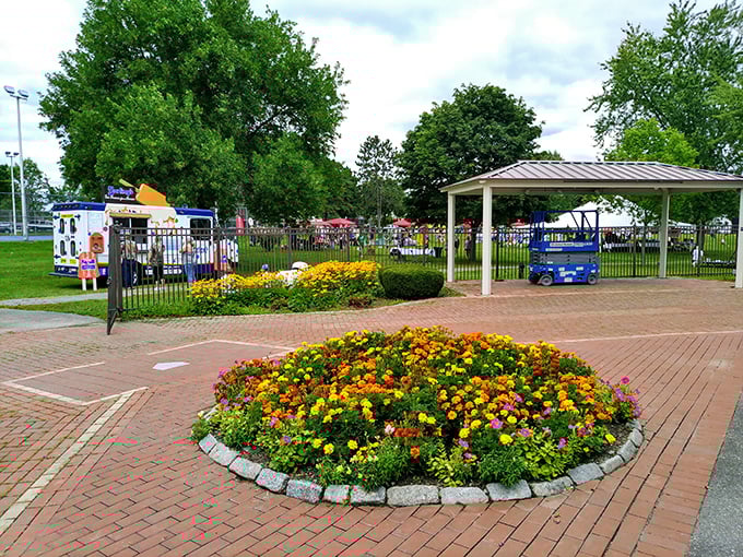 Hayford Park's floral display bursts with color, a community canvas painted with petunias and marigolds instead of pixels.