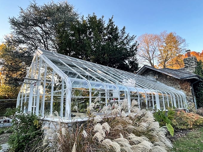 This vintage greenhouse isn't just for plants&mdash;it's a time machine to an era when Victorian gardeners nurtured exotic specimens with loving care.