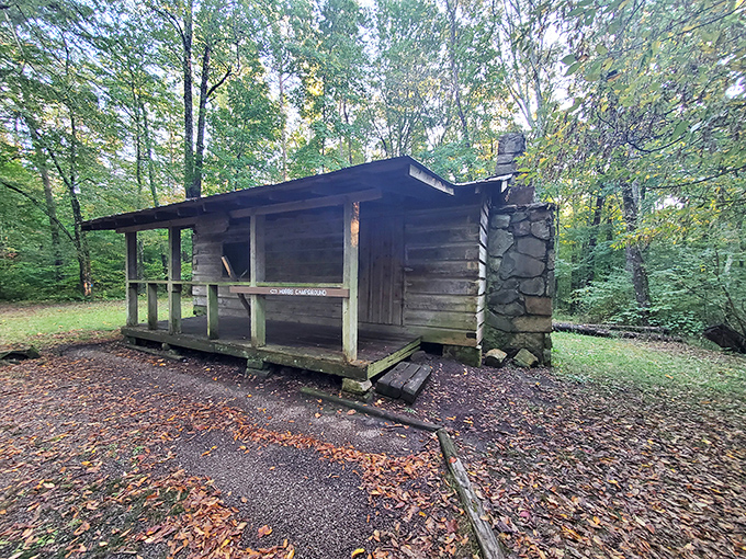 Hobbs Cabin stands as a rustic time capsule, offering modern hikers a glimpse of frontier life minus the dysentery.