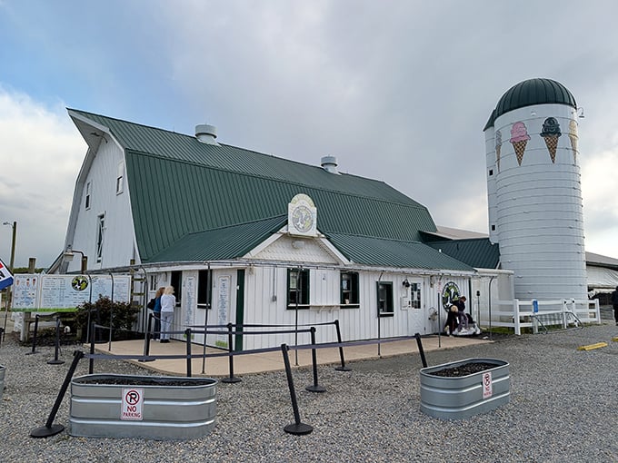 Hopkins Farm Creamery proves that ice cream tastes better when there's a cow watching you eat it. The silo with painted ice cream cones is basically the Bat-Signal for dessert lovers.
