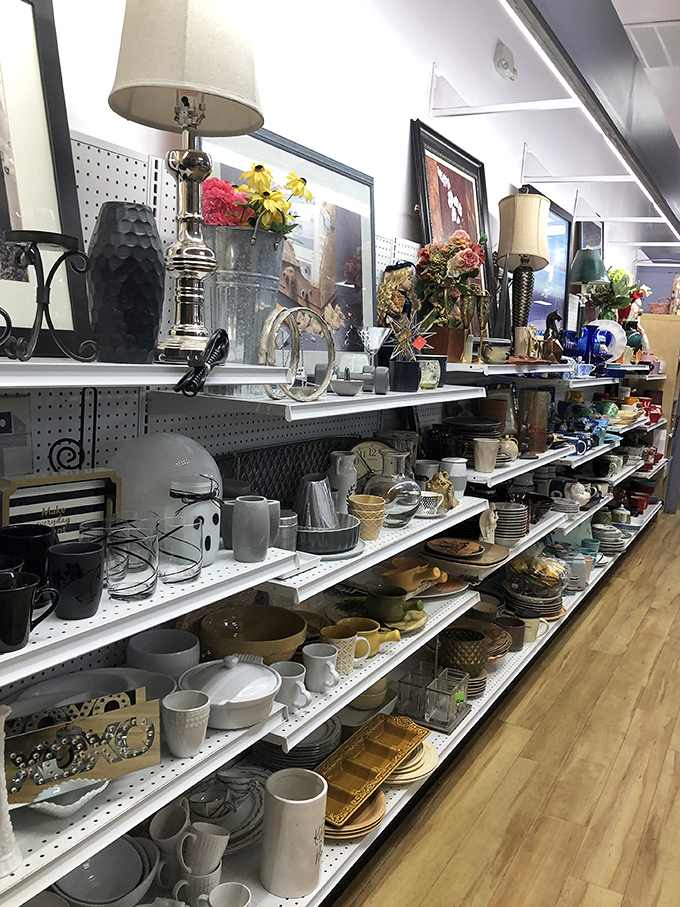 Lamp shades, picture frames, and ceramic treasures create a home decorator's playground where twenty bucks transforms empty corners into magazine-worthy vignettes.