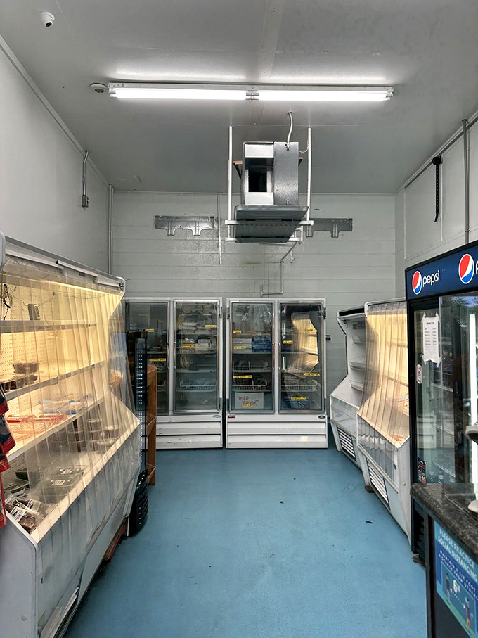 The market's interior might be simple, but those refrigerated cases hold more treasures than a pirate's chest.