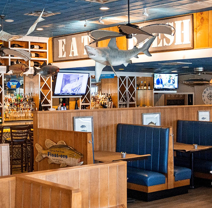 Fish suspended from the ceiling watch over diners like aquatic guardian angels. "Eat responsibly," they seem to whisper.