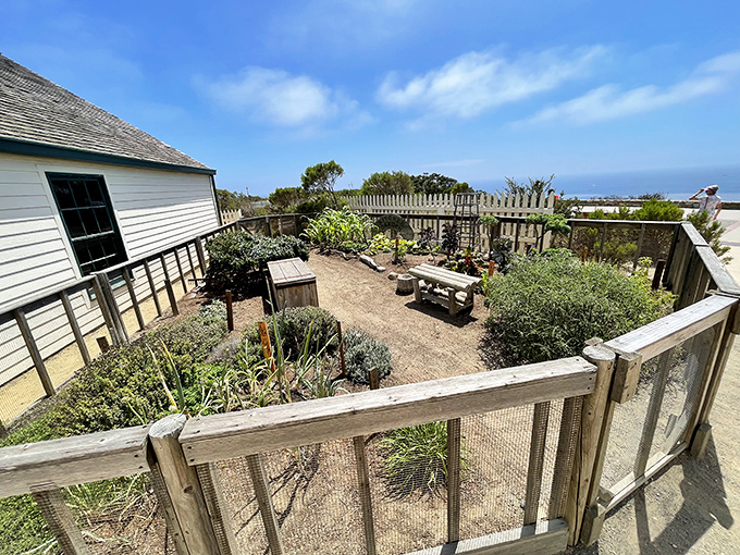 The keeper's garden wasn't just decorative&mdash;it was survival. When you're 422 feet above sea level, DoorDash isn't exactly an option.