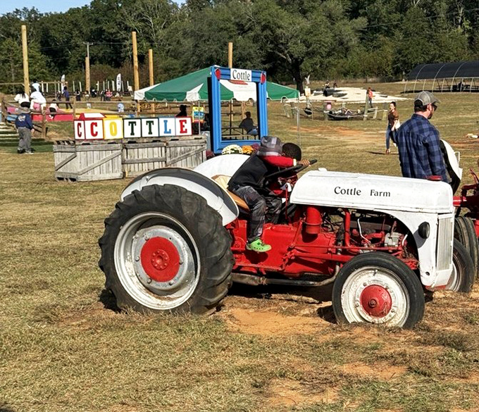 Future farmers get hands-on experience with vintage farm equipment&mdash;no driver's license required for this country road trip.