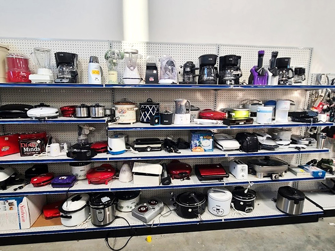 The small appliance section – where bread makers and coffee pots form a mechanical landscape of good intentions and culinary ambitions.