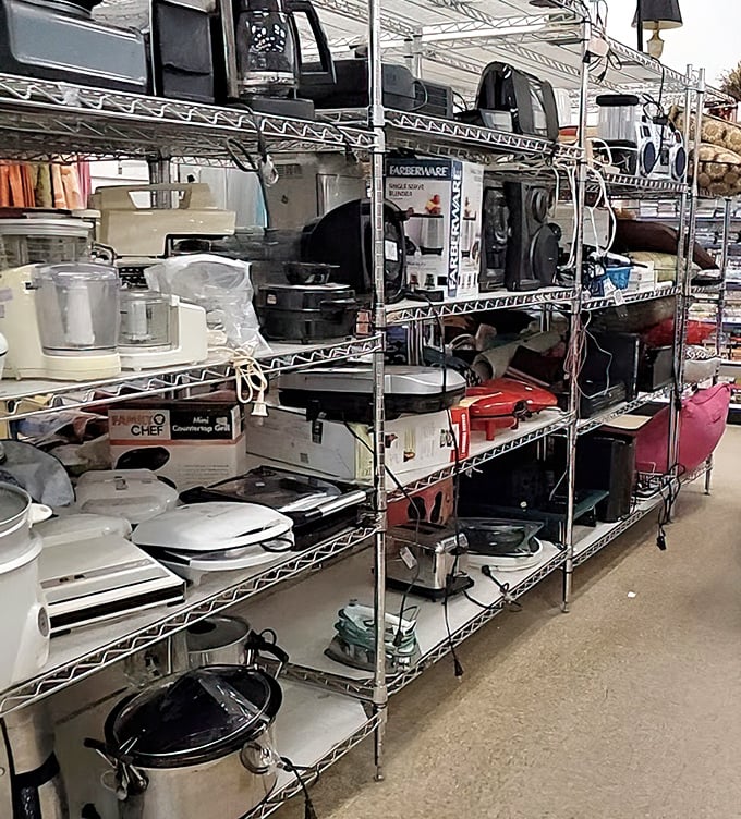 Small appliances ready to brew, blend, and toast their way into your kitchen routine.